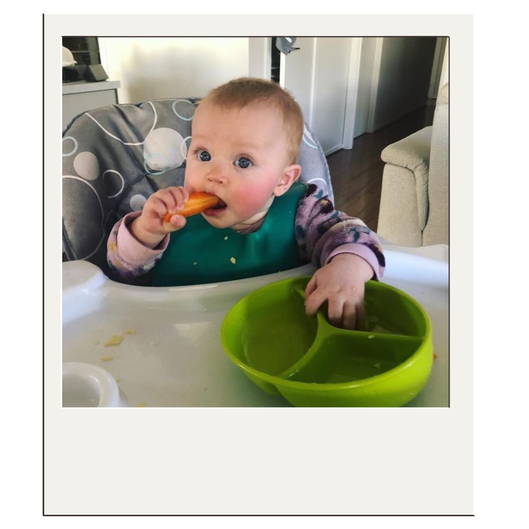 TinyTaster Entry Page – Tinybeetsfood